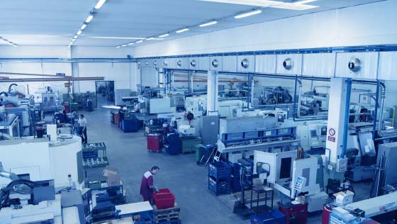 Production area: How much does your company produce?